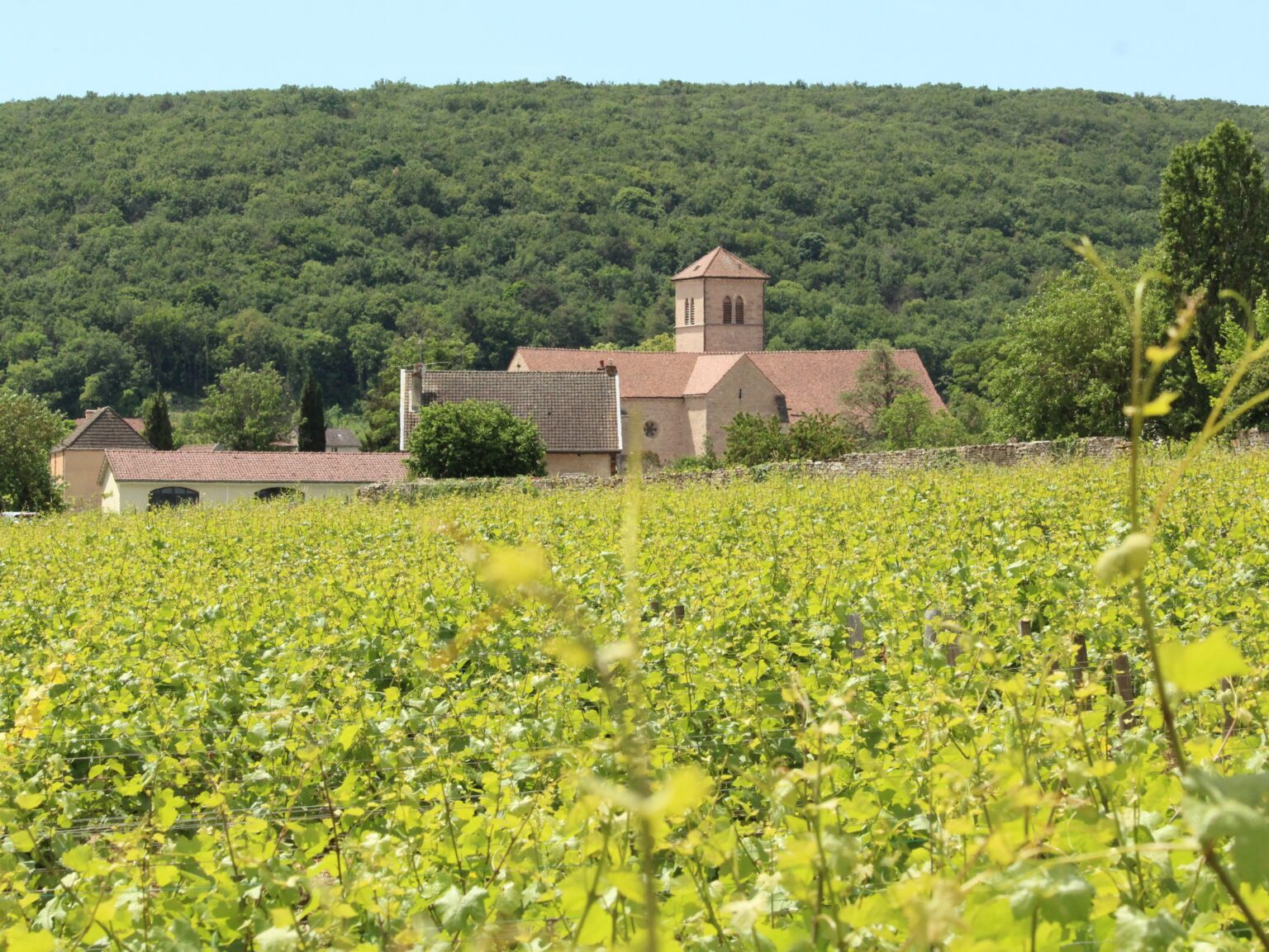 Du village de Gevrey-Chambertin - Office de Tourisme Gevrey-Chambertin ...